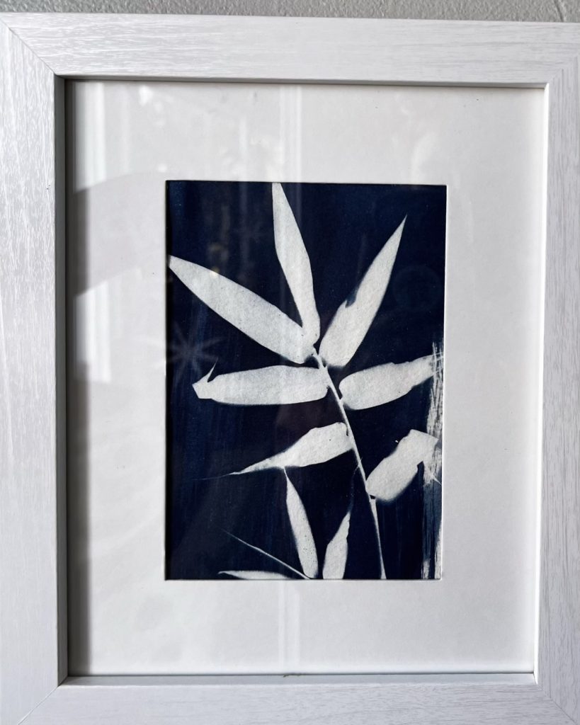 Framed Cyanotype – 2/17 | Gather2Grow | Art & Crafting Classes Port ...